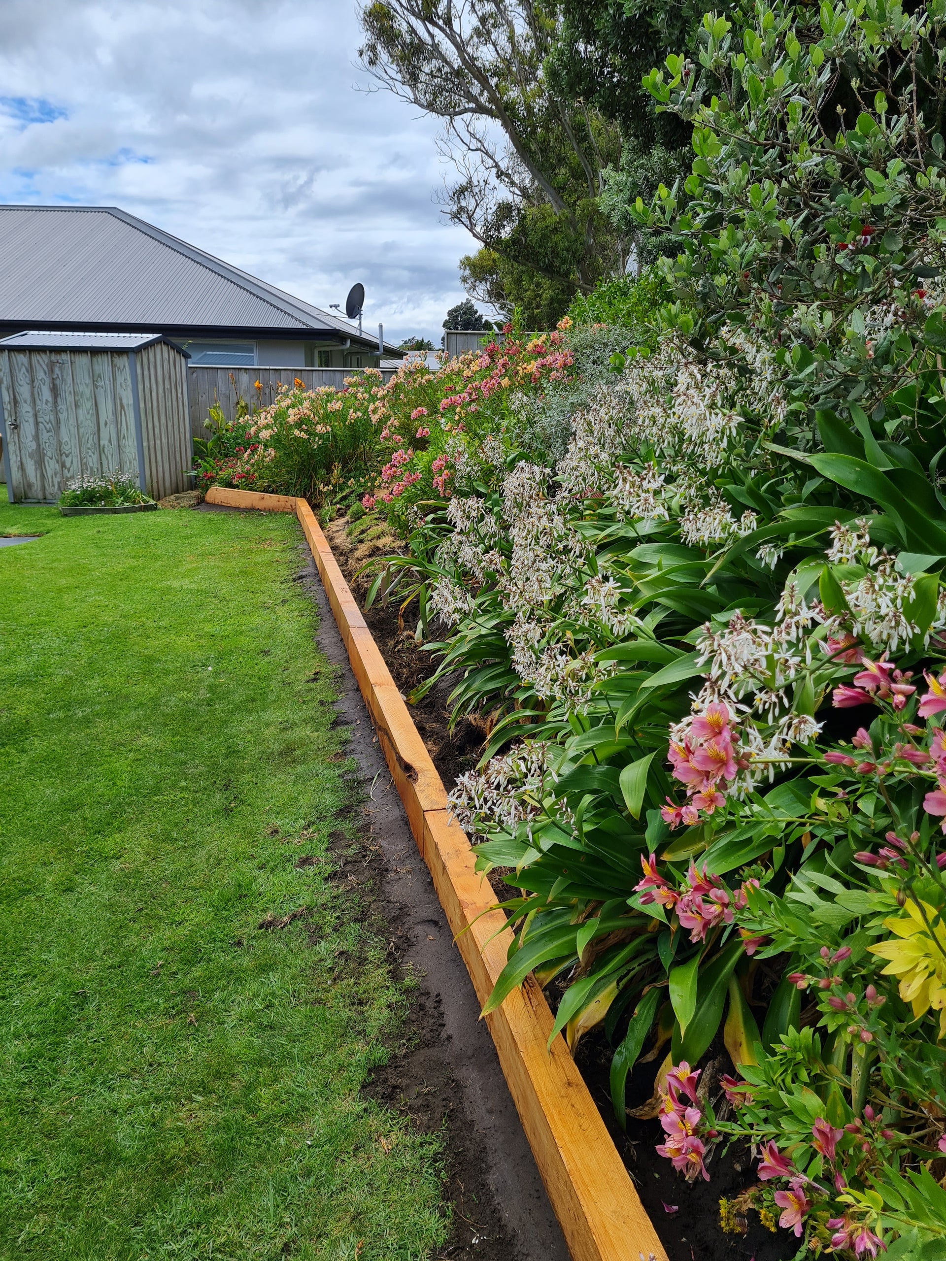 Services – Modscape