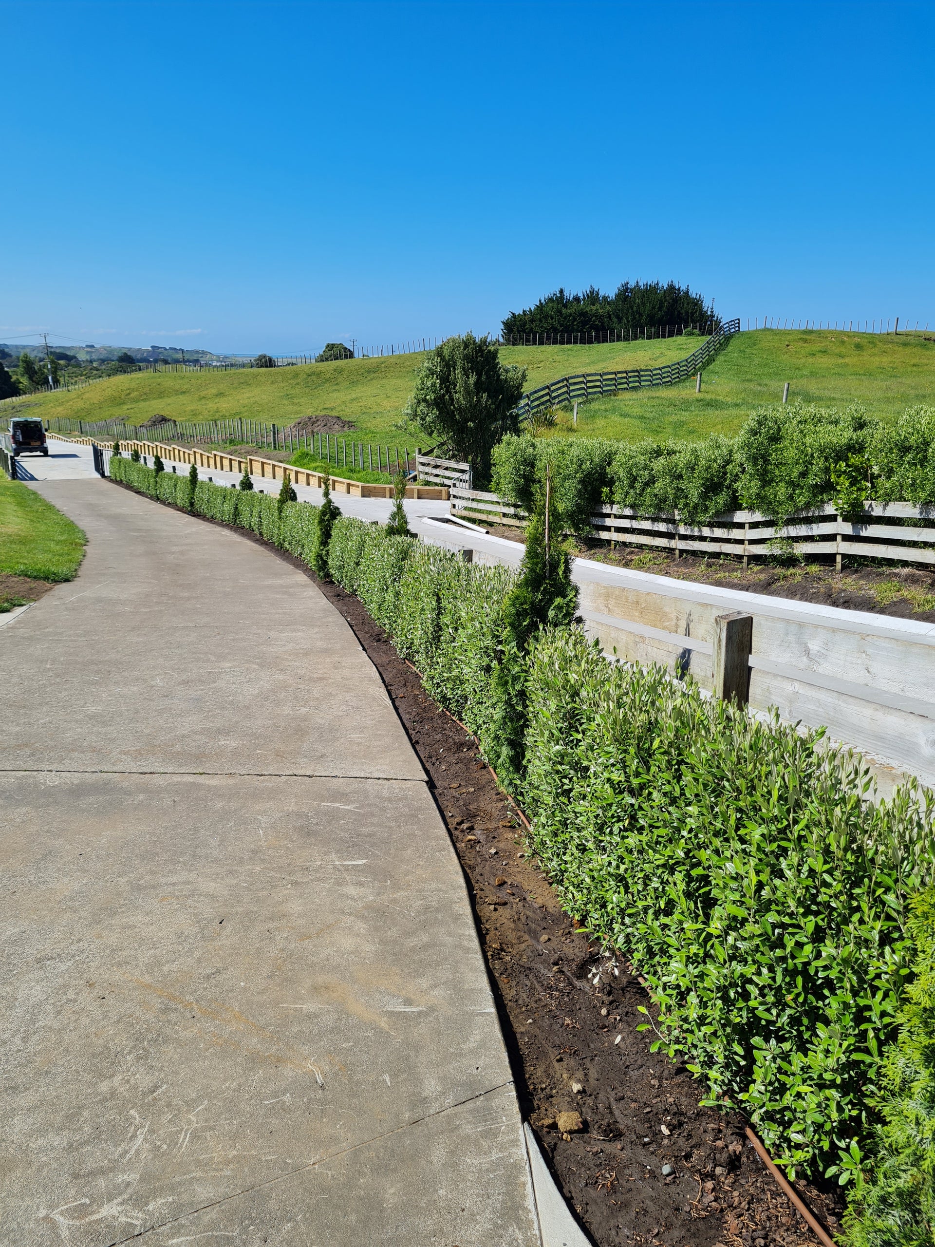 Services – Modscape